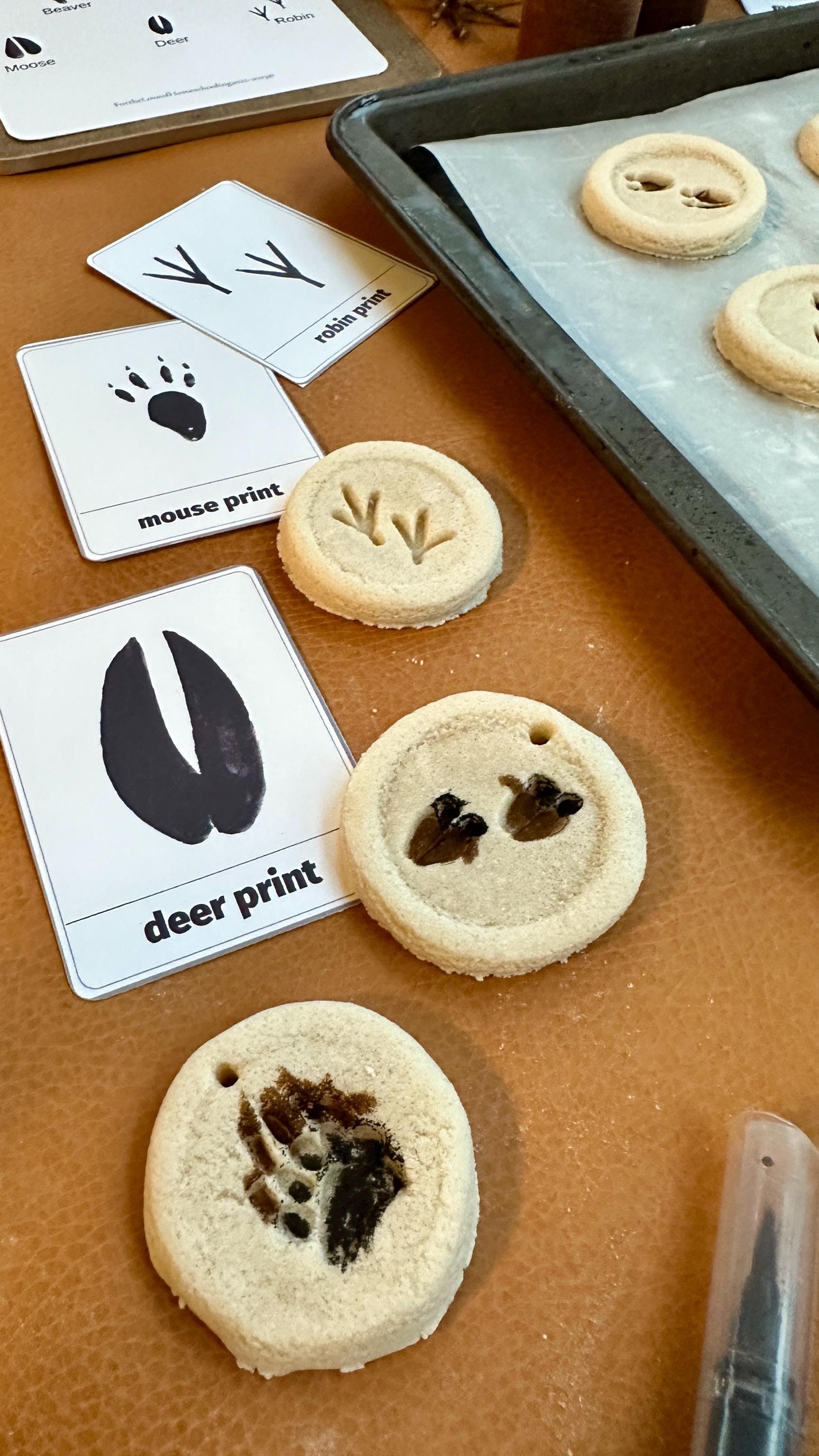 Animal Tracks Pack - Etsy