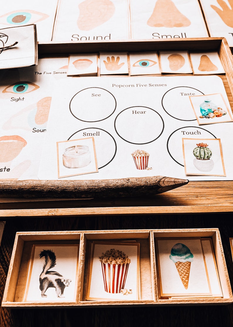 5 Senses Learning Pack - Etsy