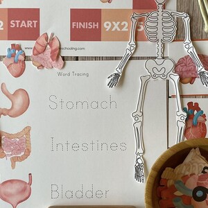 Human Body Mini Bundle - Etsy