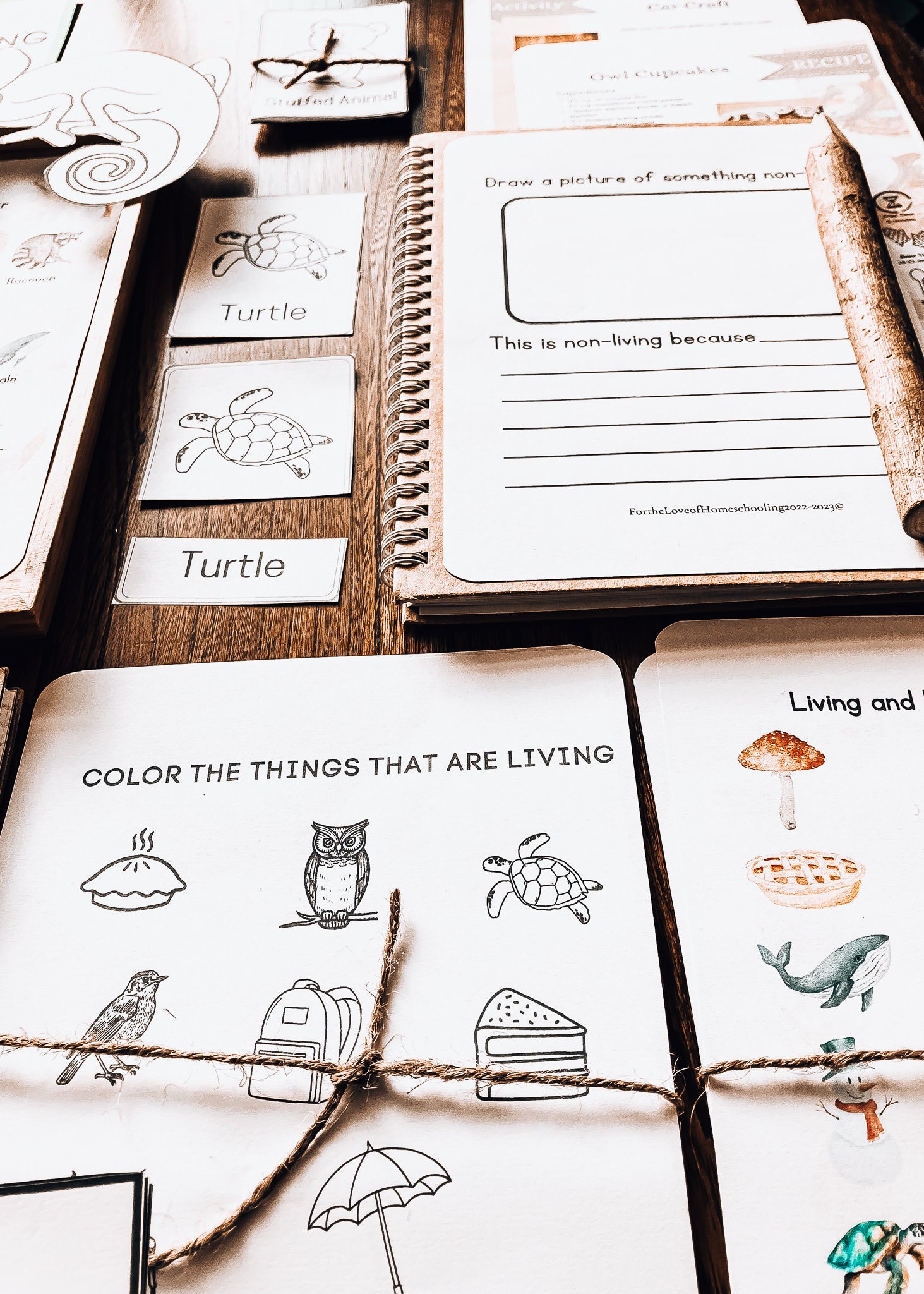 Living and Nonliving Learning Pack - Etsy