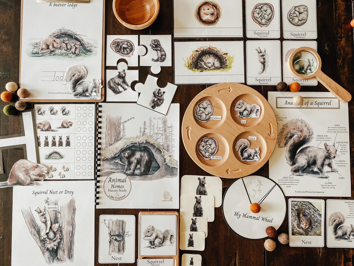 Animal Homes Nature Study - Etsy