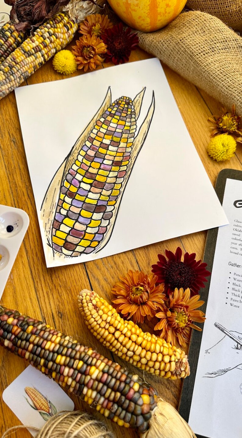 Harvest Nature Study - Etsy