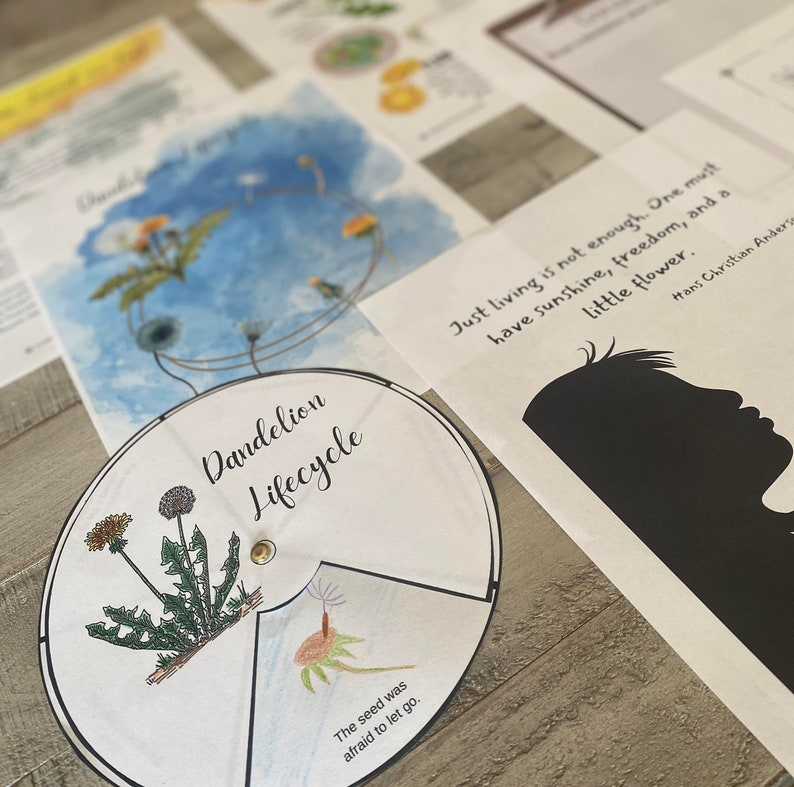 Dandelion Seed Themed Pack - Etsy