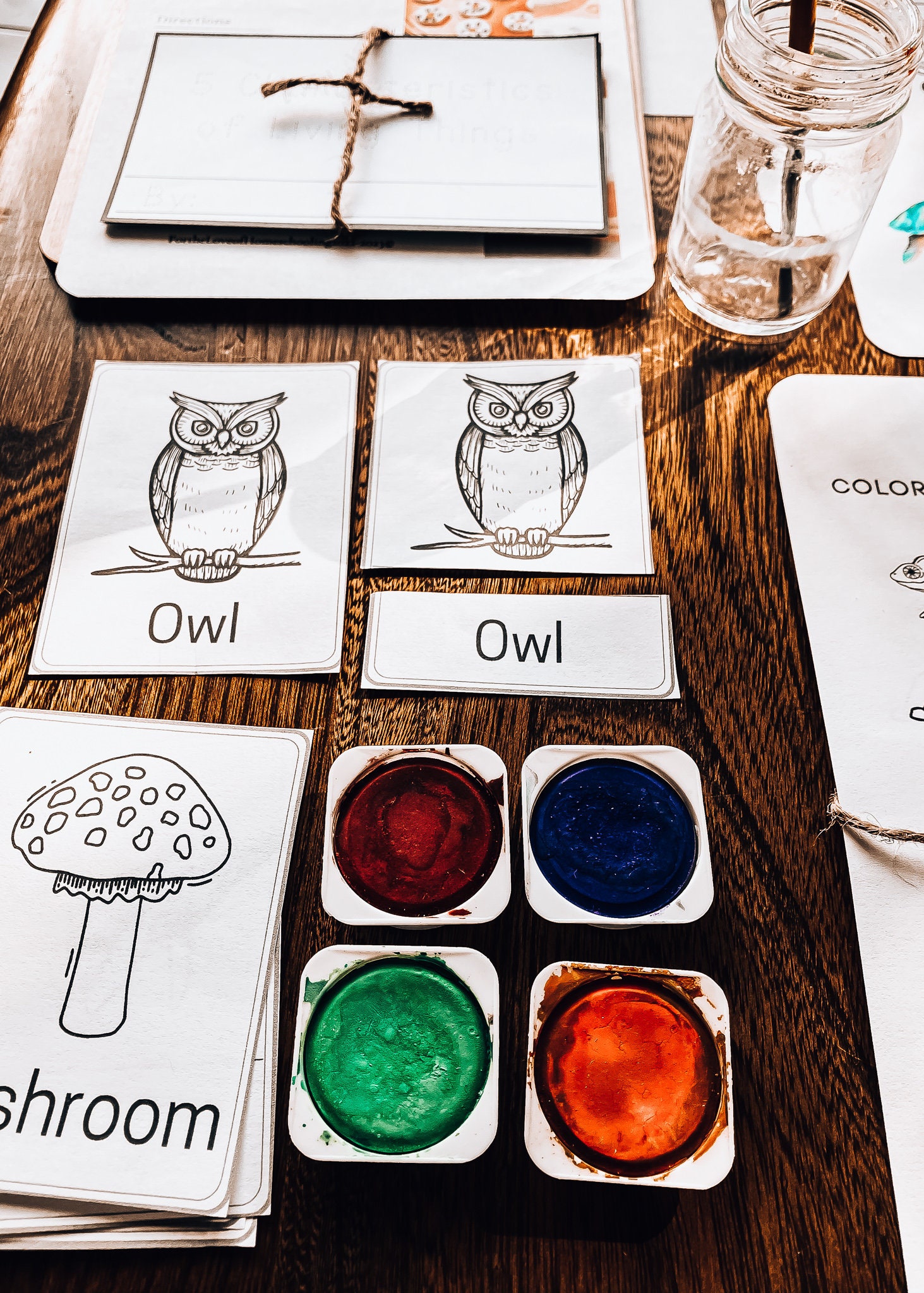 Living and Nonliving Learning Pack - Etsy