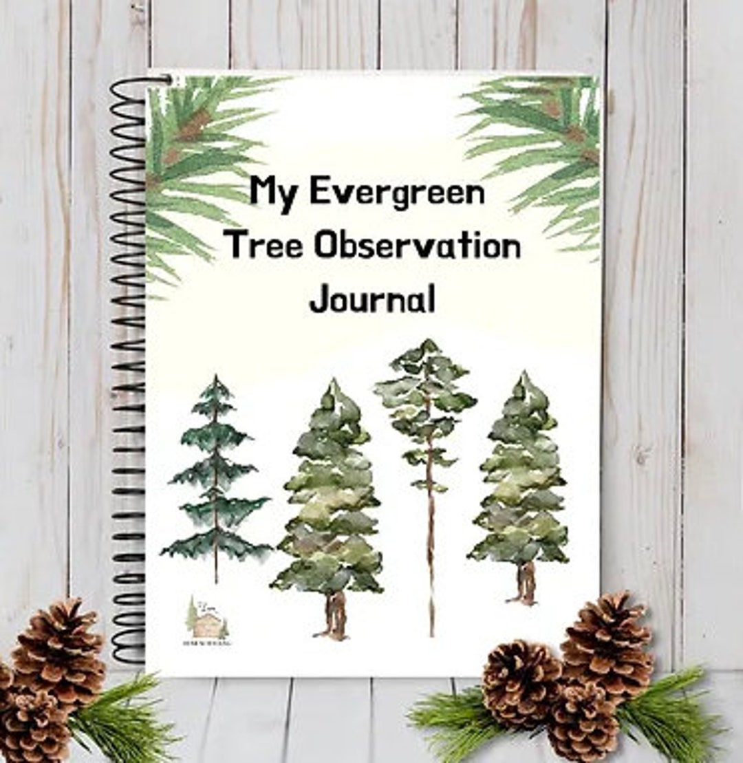 Evergreen Observation Journal - Etsy