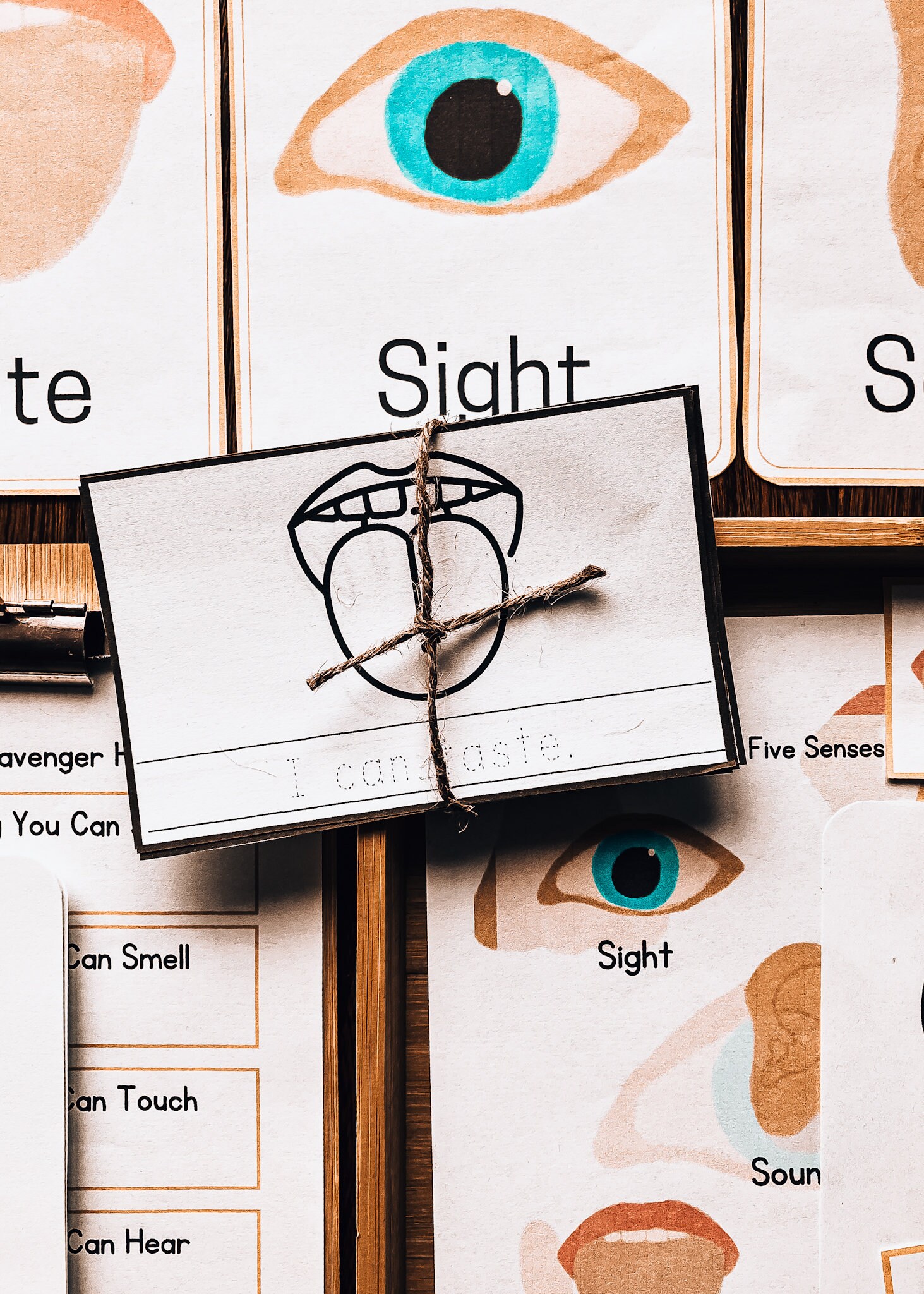 5 Senses Learning Pack - Etsy