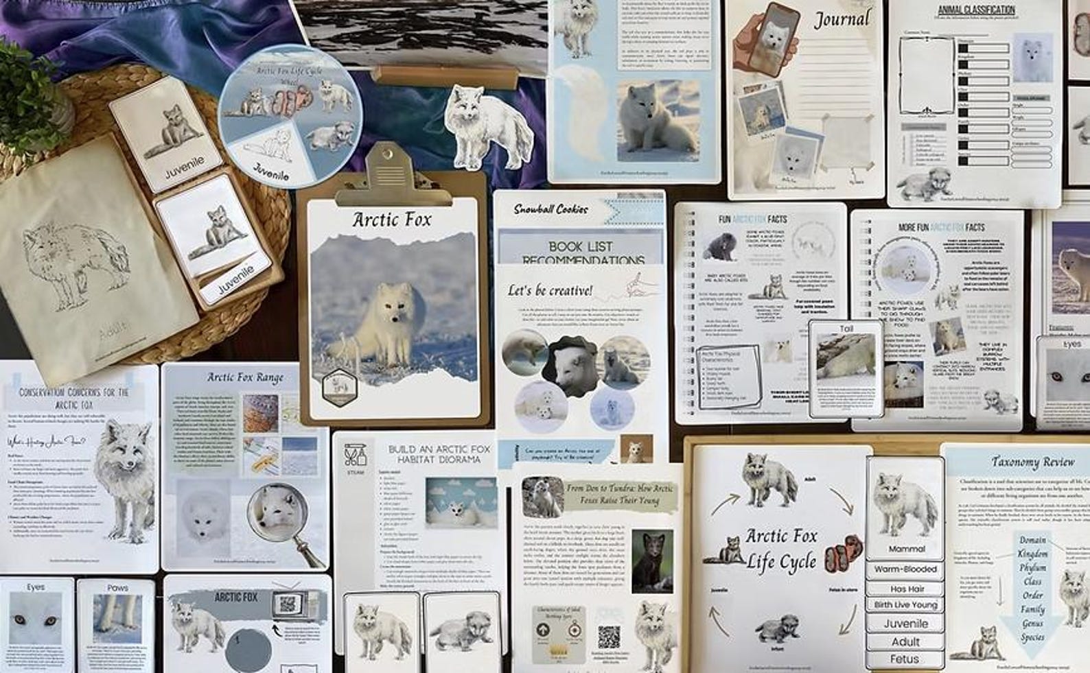 Arctic Fox Nature Study - Etsy