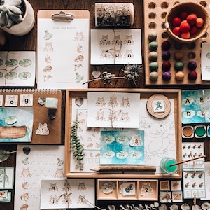 Frog Themed Learning Pack - Etsy