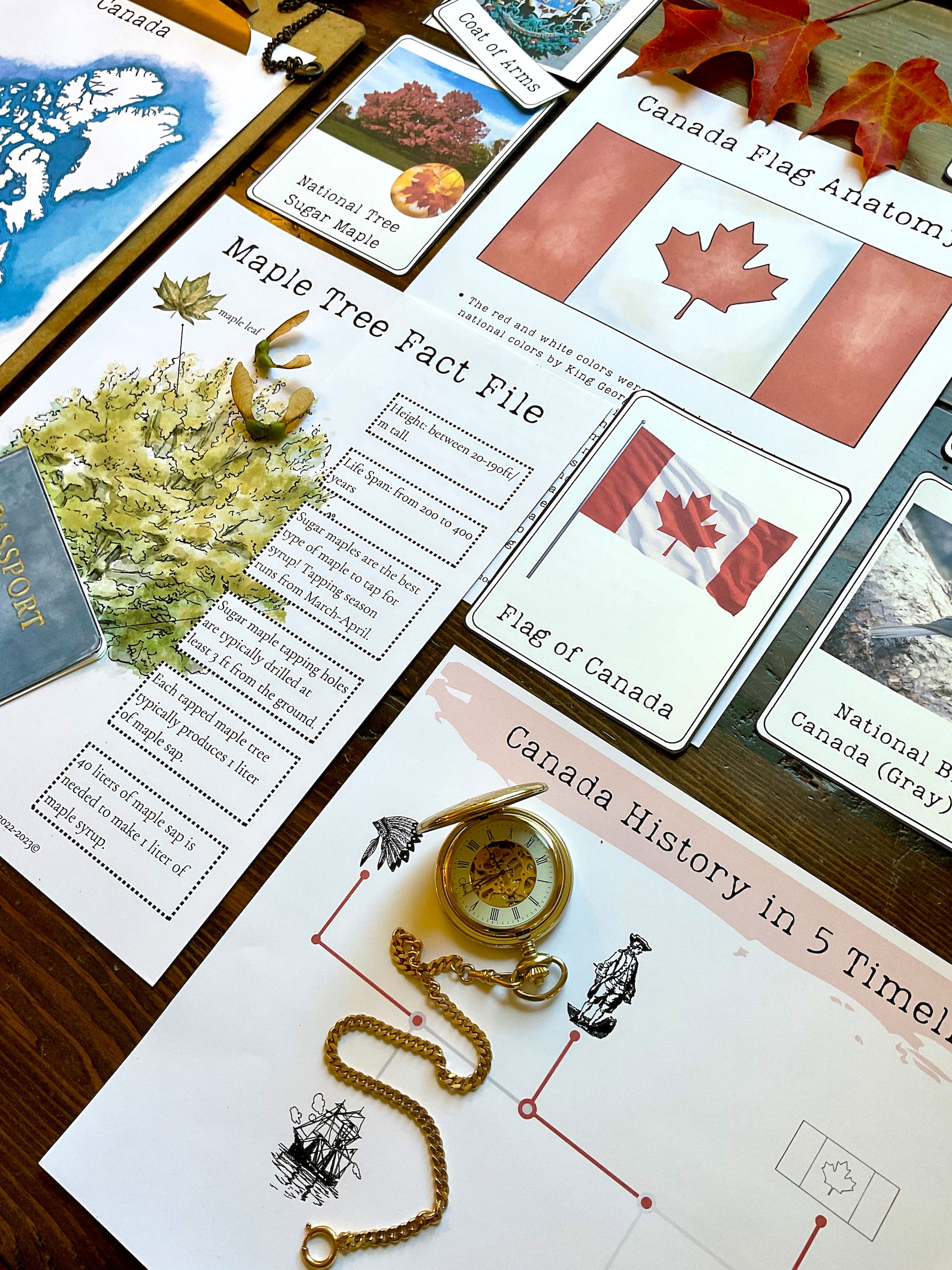 Canada Unit Study - Etsy