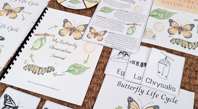Butterfly Life Cycle Nature Study - Etsy