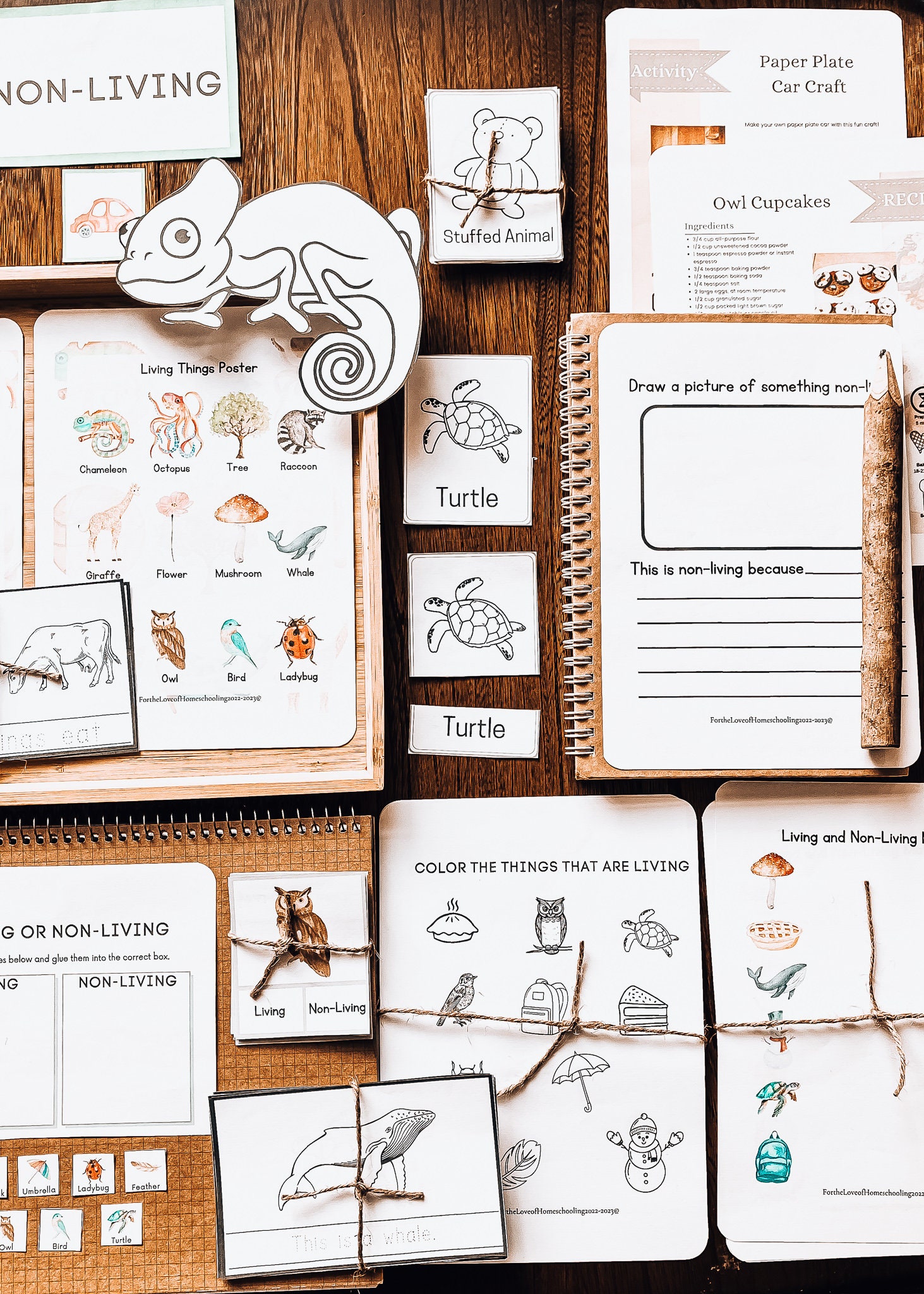 Living and Nonliving Learning Pack - Etsy