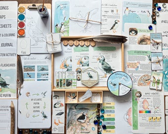 PUFFIN Unit Study for Elementary Parts of the PUFFIN Species Life Cycle ...