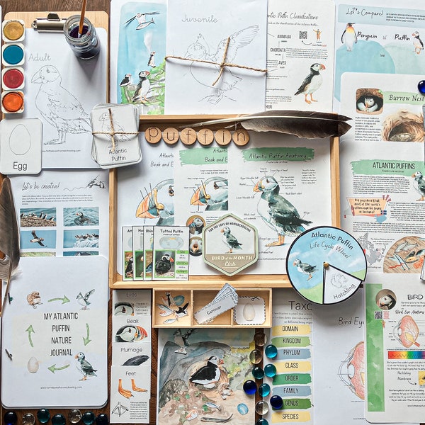 Atlantic Puffin - Etsy