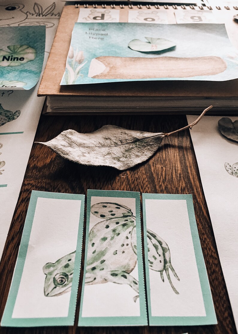 Frog Themed Learning Pack - Etsy