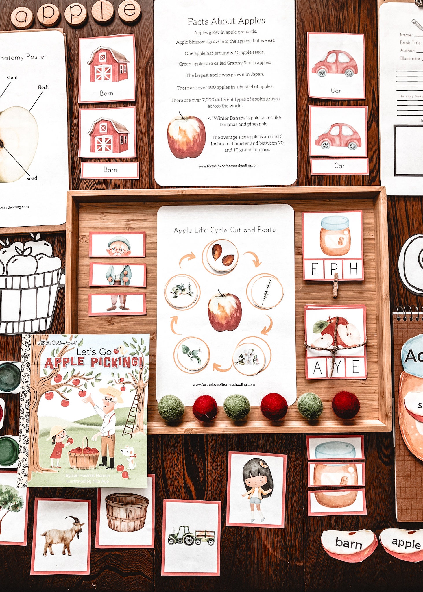 Apple Picking Book Themed Learning Pack - Etsy