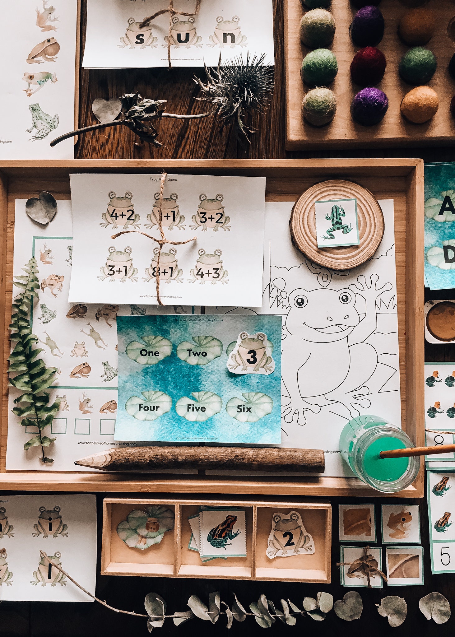 Frog Themed Learning Pack - Etsy