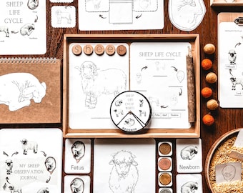 Beaver Life Cycle Nature Study - Etsy