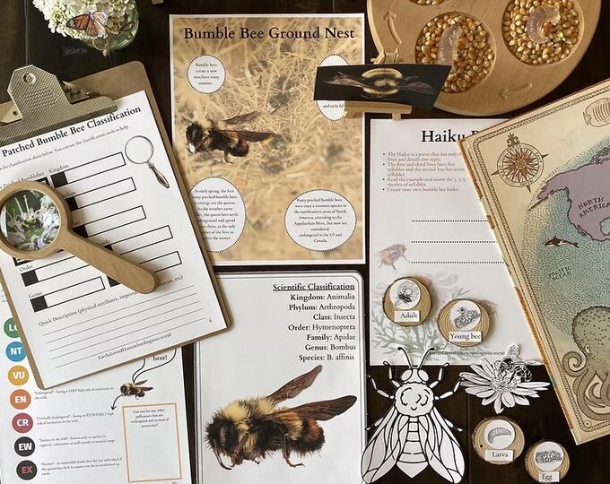 Printable Pollinator Nature Study Worksheets - Etsy Canada