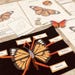 Butterfly Felt Anatomy Pack - Etsy