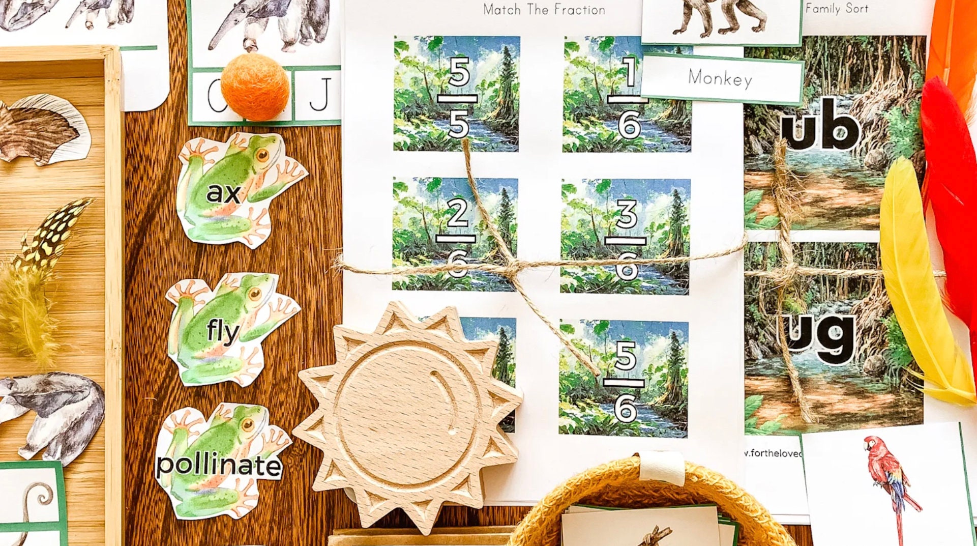 The Great Kapok Tree Book Unit - Etsy
