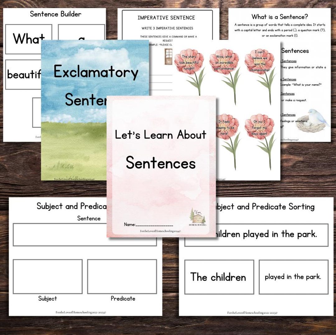 Let’s Learn About Sentences - Etsy