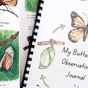 Butterfly Life Cycle Nature Study - Etsy