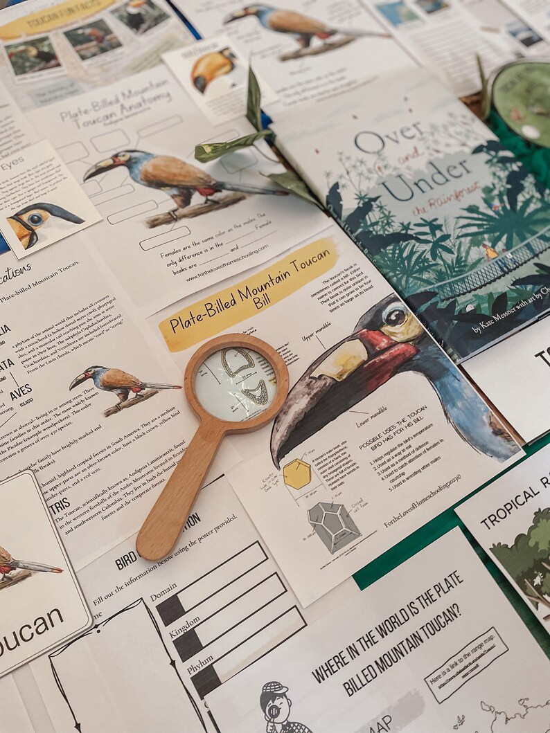 Plate-billed Mountain Toucan Nature Study - Etsy