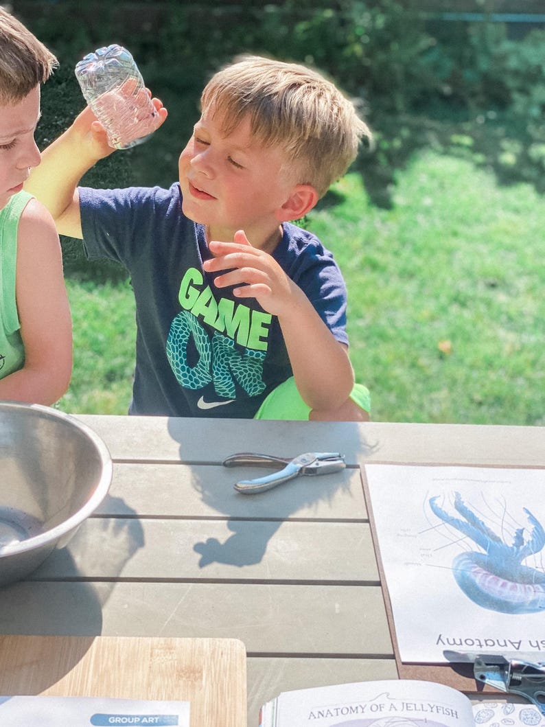 Jellyfish Mini Unit - Etsy