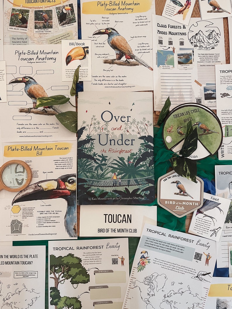 Plate-billed Mountain Toucan Nature Study - Etsy