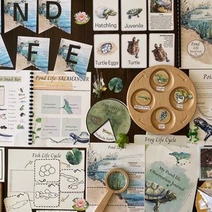 Pond Life Nature Study Unit - Etsy