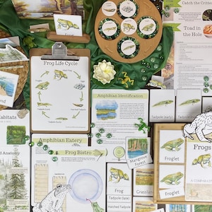 Frogs & Toads A Comparative Nature Study - Etsy