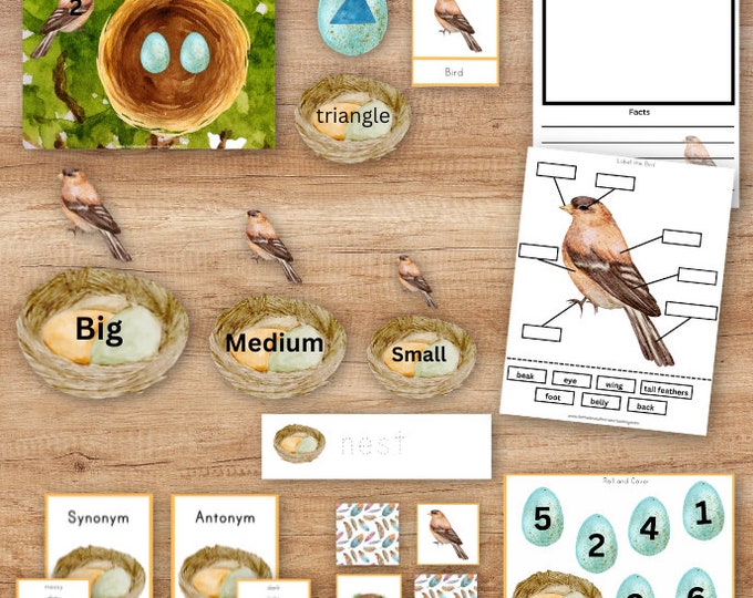 Bird Nests Poster & 3 Part Cards - Etsy Canada