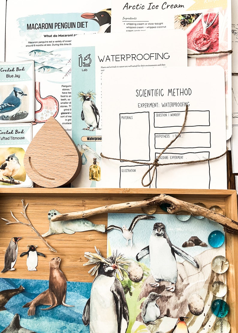 Macaroni Penguin Unit Study - Etsy