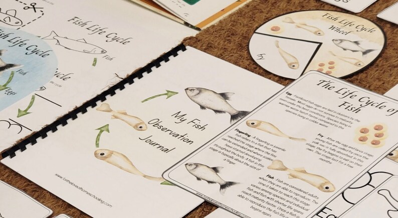 Fish Life Cycle Nature Study - Etsy