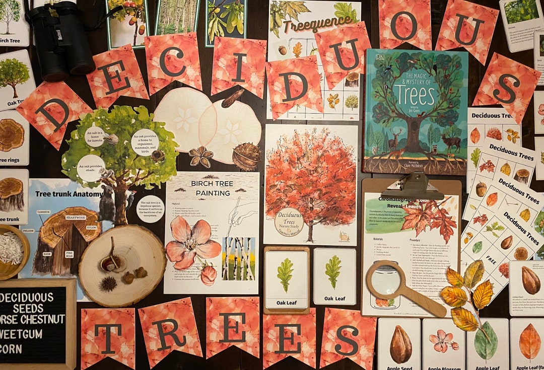 Deciduous Trees Nature Study - Etsy