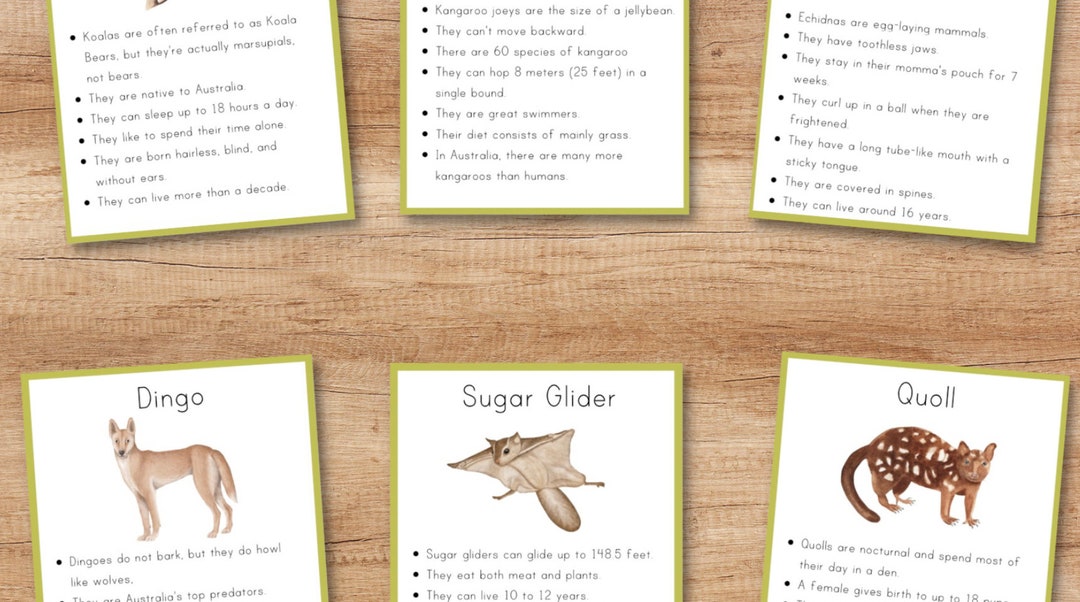 Australian Animal Fact Cards - Etsy