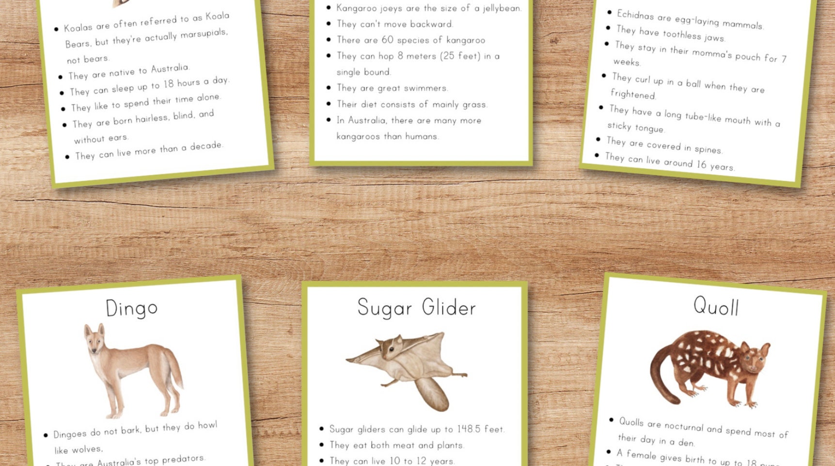 Australian Animal Fact Cards - Etsy