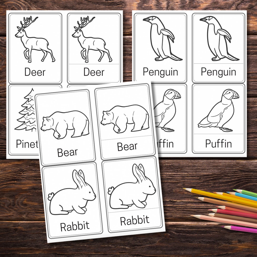 Make Your Own Winter Flashcards and 3 Part Cards - Etsy