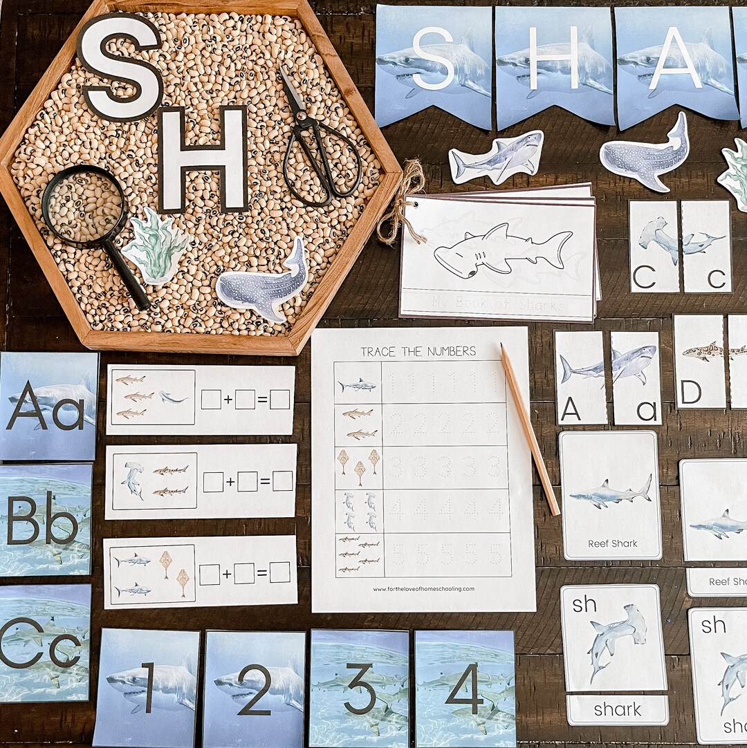 SH is for Shark Pack - Etsy