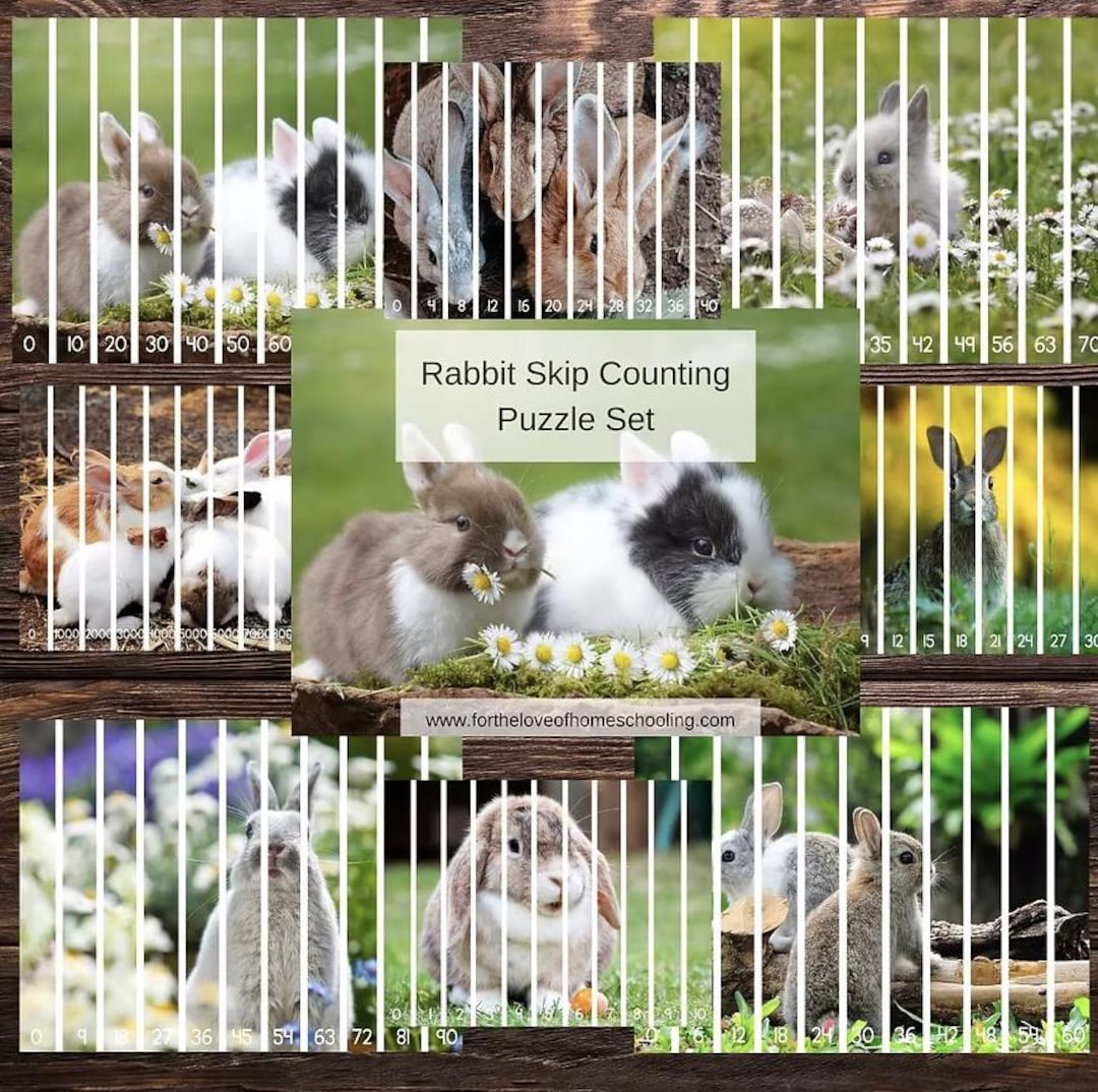 Rabbit Skip Counting Puzzles - Etsy