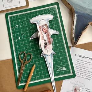 Hammerhead Shark Dissection - Etsy