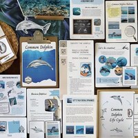 BELUGA WHALE Life Cycle, Nature Study, Homeschool Printable, Instant ...
