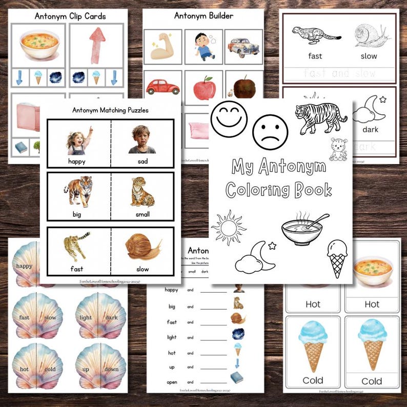 Let’s Learn About Antonyms - Etsy