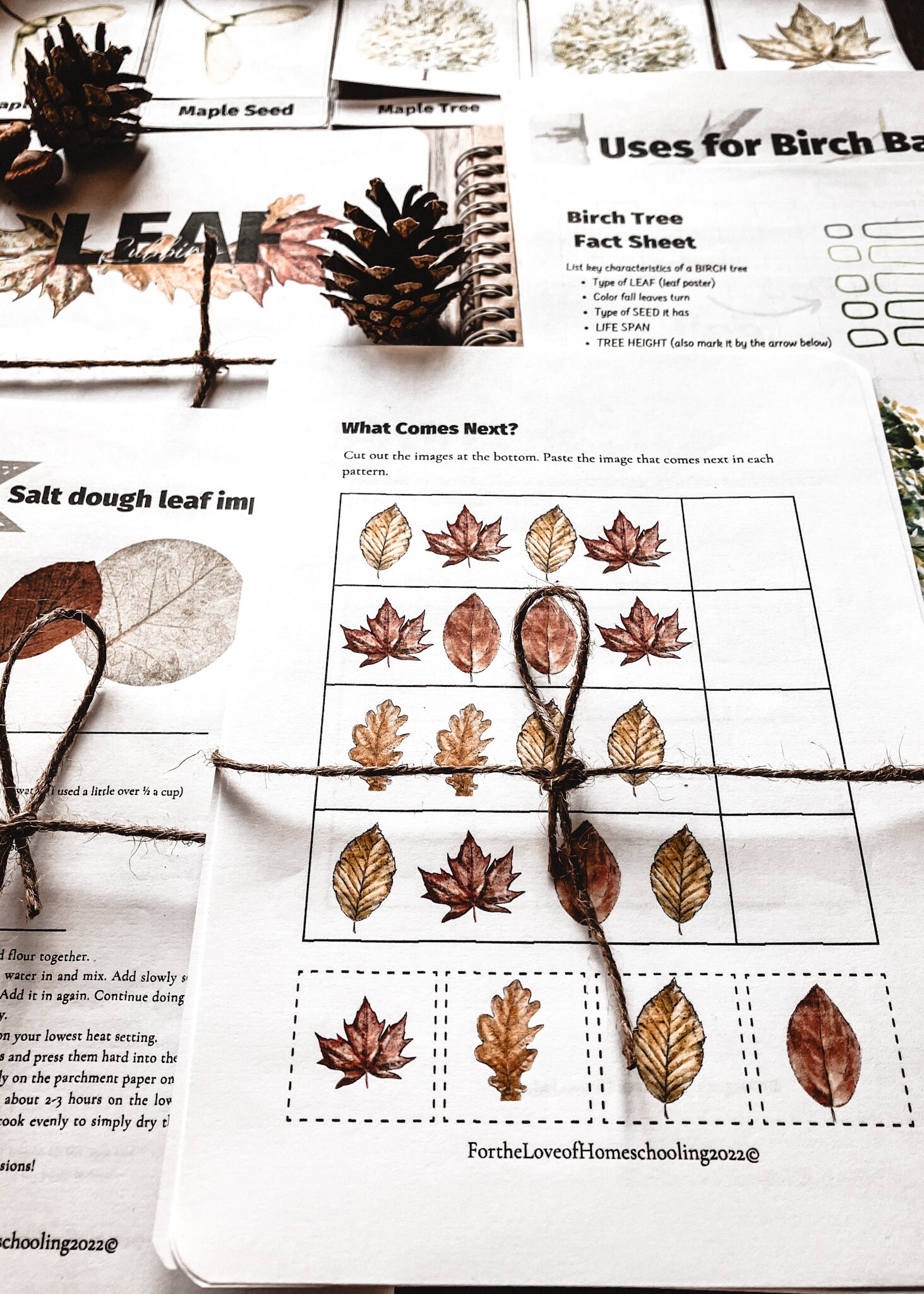 Trees and Leaves Learning Pack - Etsy