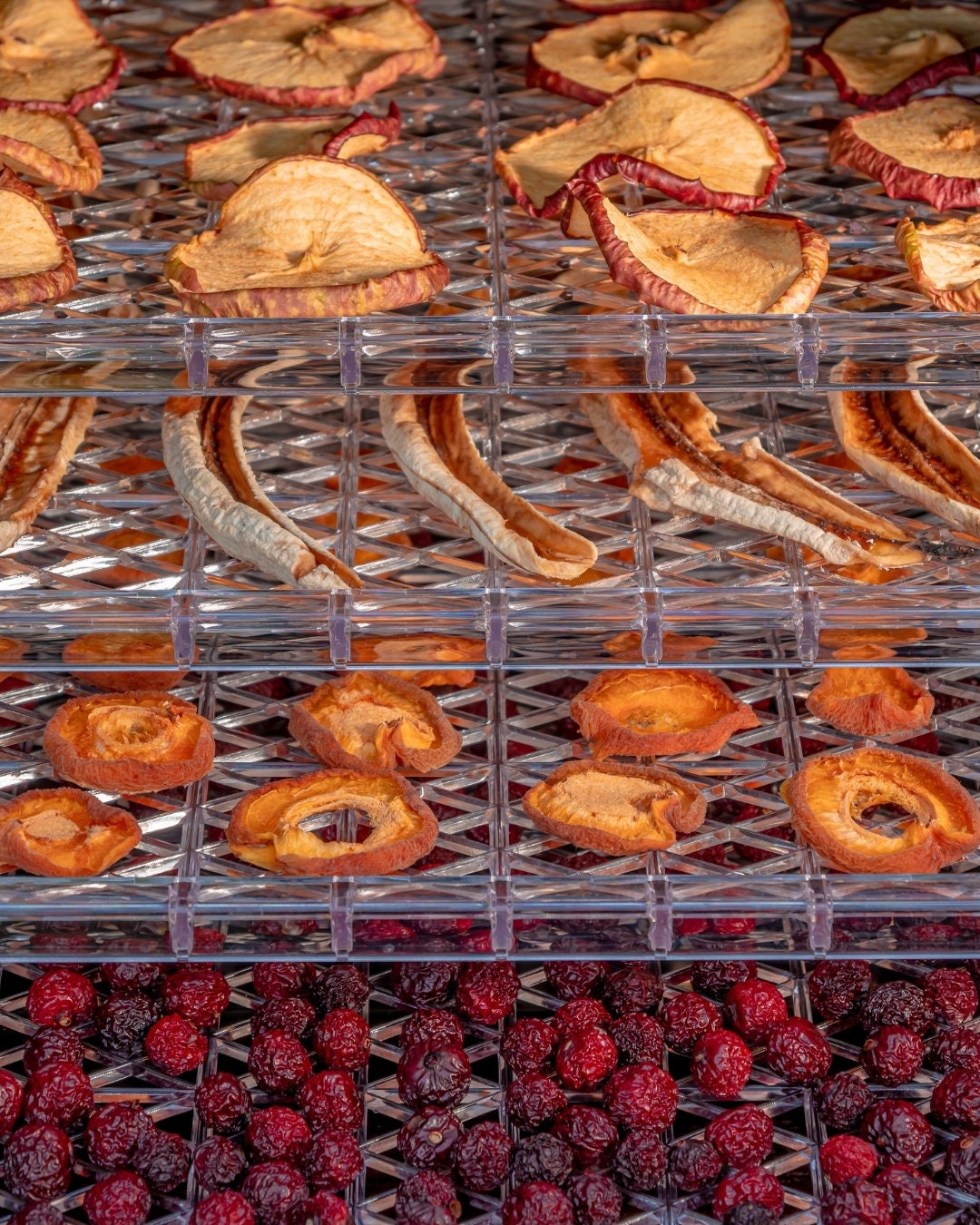 Food Preservation Canning, Freezing & Dehydrating for Beginners - Etsy