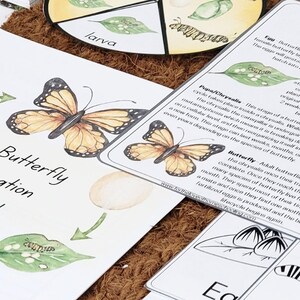 Butterfly Life Cycle Nature Study - Etsy