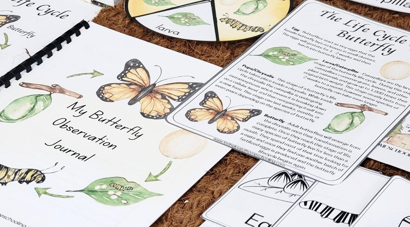Butterfly Life Cycle Nature Study - Etsy