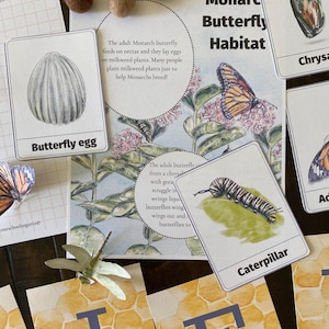 Insect Nature Study Unit - Etsy