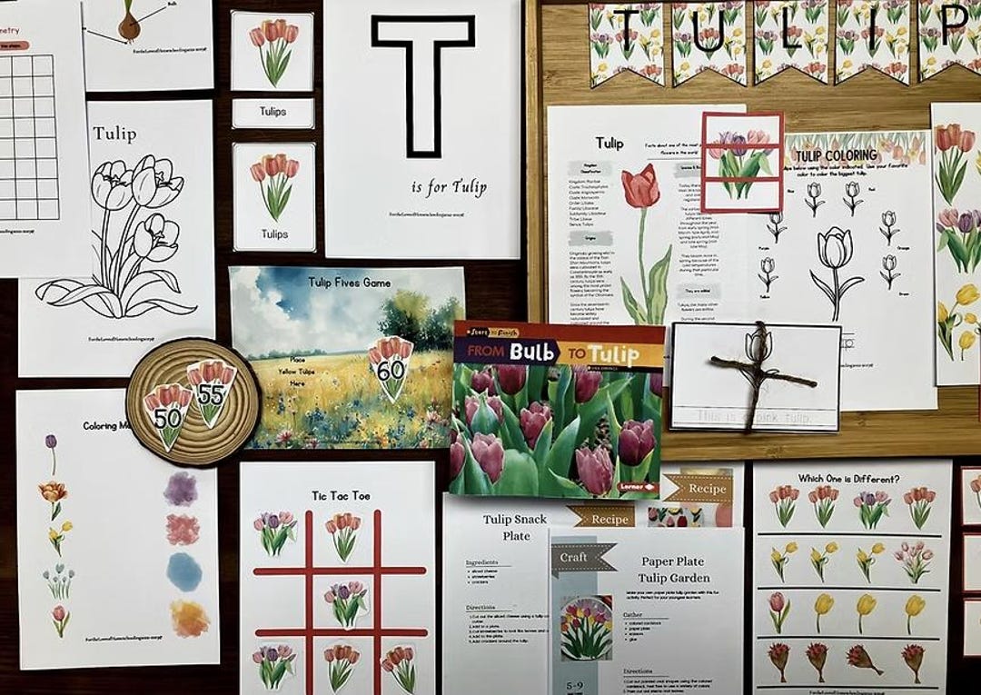 Tulip Week 12 Weeks of Spring - Etsy