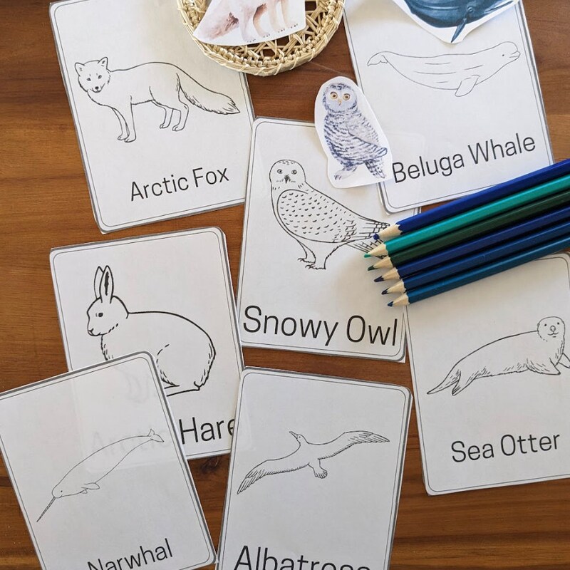 Polar Animals - Etsy